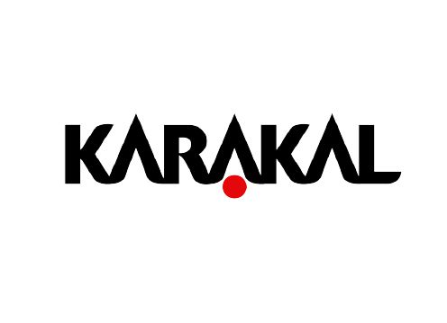 Karakal